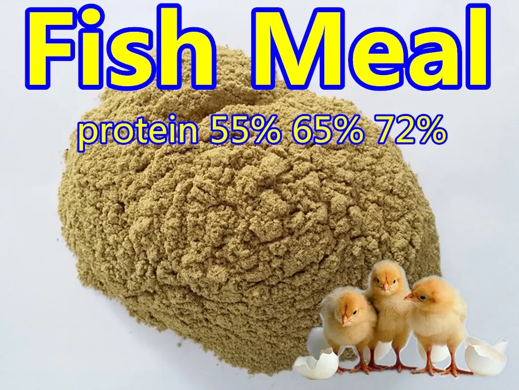 Effects of Fish Meal Powder on Animal Fat Metabolism and Gut Microbiota ...